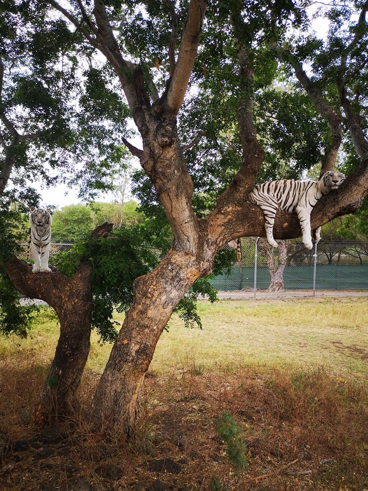 Mauritius - ce poți face în sud vestul insulei? | Lifestyle de poveste